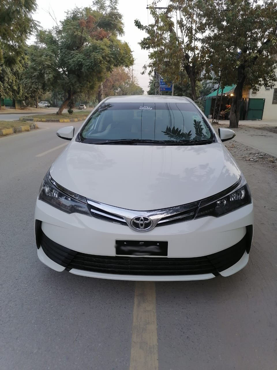 Spider Tours and Travels